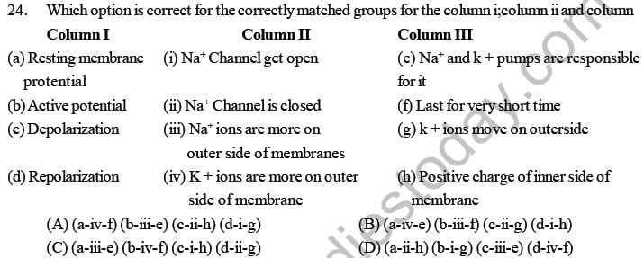 NEET Biology Neural Control and Coordination MCQs Set B with Answers